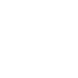Automotive Computer Reprogramming, Vehicle Programming & Remote Diagnostics